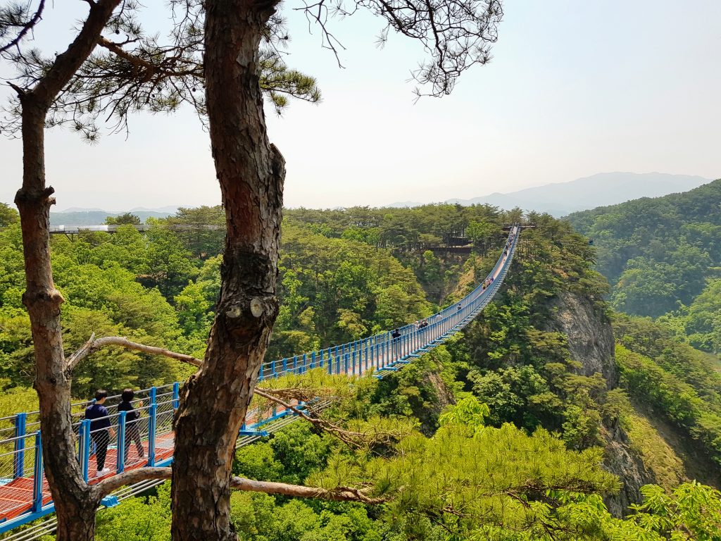 Best Pedestrian Suspension Bridges in the World Worth Crossing